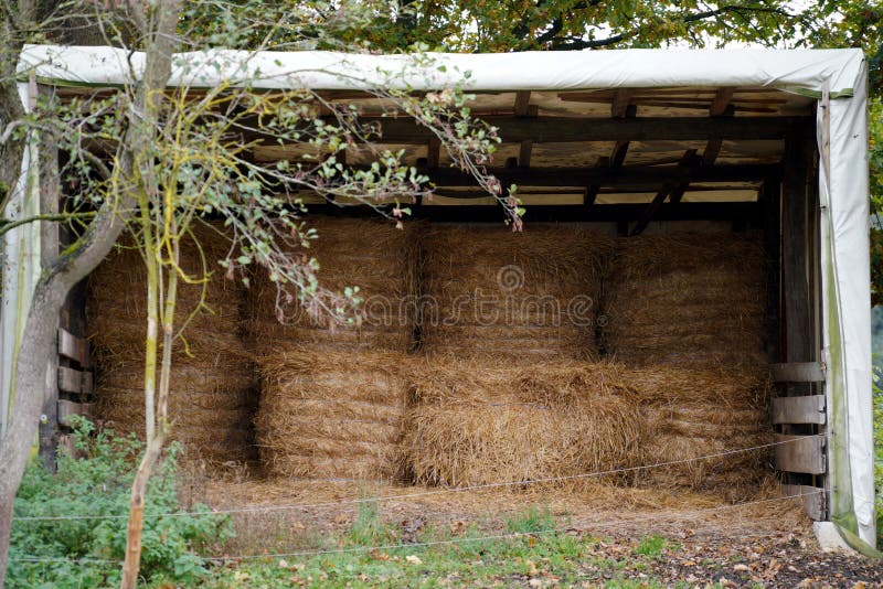 View of a Shed of Hay Barn in a Farm Stock Image - Image of farming ...