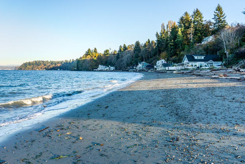 Shoreline at Dash Point 3 stock image. Image of driftwood - 261793427