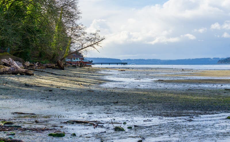 Dash Point Park Shoreline 2 Stock Photo - Image of washington ...
