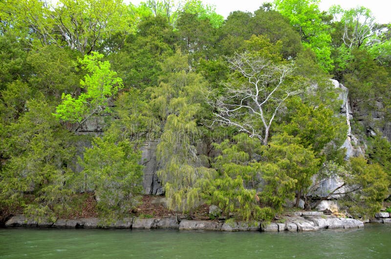View of Shoreline with Rocks and Trees Stock Image - Image of located ...