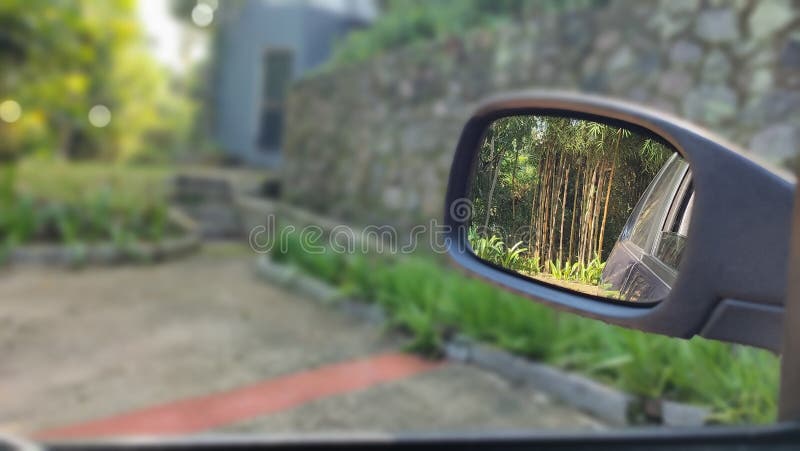 View in the Side Mirror of the Car, Forest Background. Stock Image ...