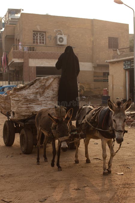 View from the Side of the Slums of the Egyptian Pyramids in Giza ...