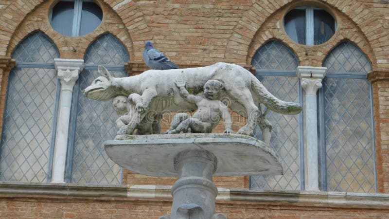 Pigeon by Wolf and Eagle Details in Rome, Italy Stock Photo - Image of ...