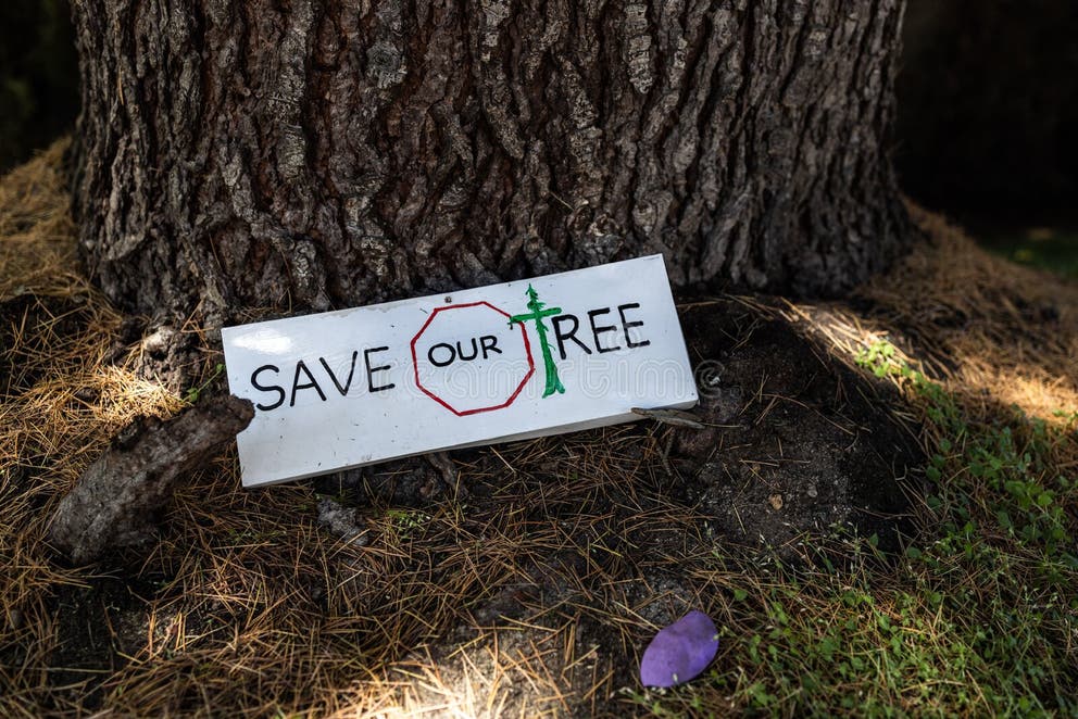 Save Our Trees stock image. Image of cedar, columbia - 259327233