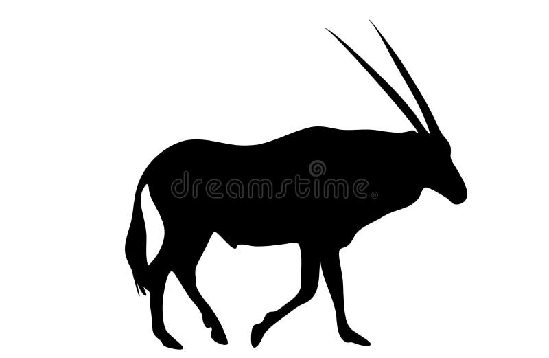 Gemsbuck Stock Illustrations – 27 Gemsbuck Stock Illustrations, Vectors ...