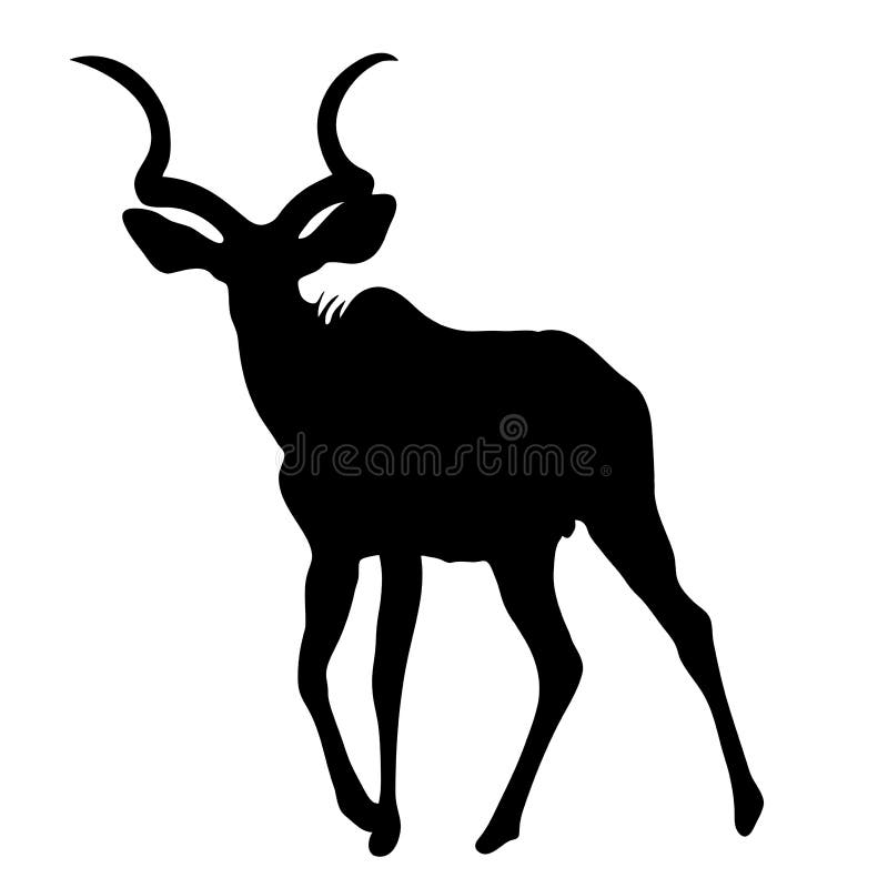 Greater Kudu stock vector. Illustration of beautiful - 27903745