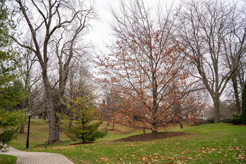 View of Simcoe Park in the Town of Niagara-on-the-Lake Stock Photo ...