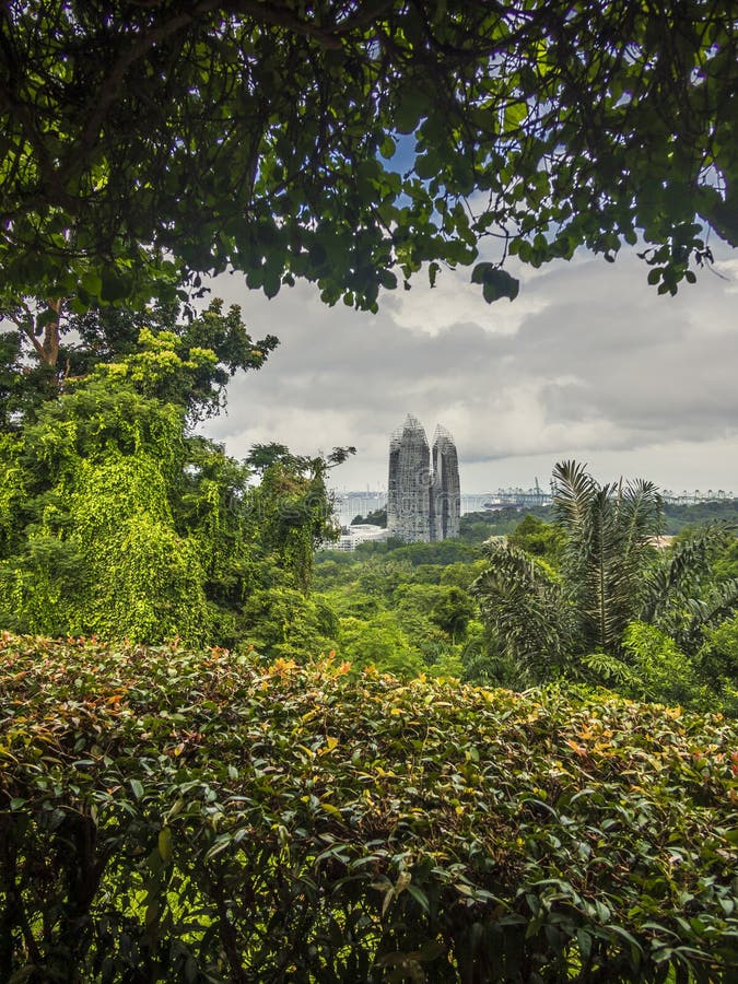 View of the Singapore Skyline from the Forest on Mount Faber Stock ...