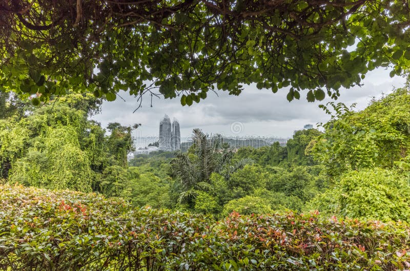 View of the Singapore Skyline from the Forest on Mount Faber Stock ...