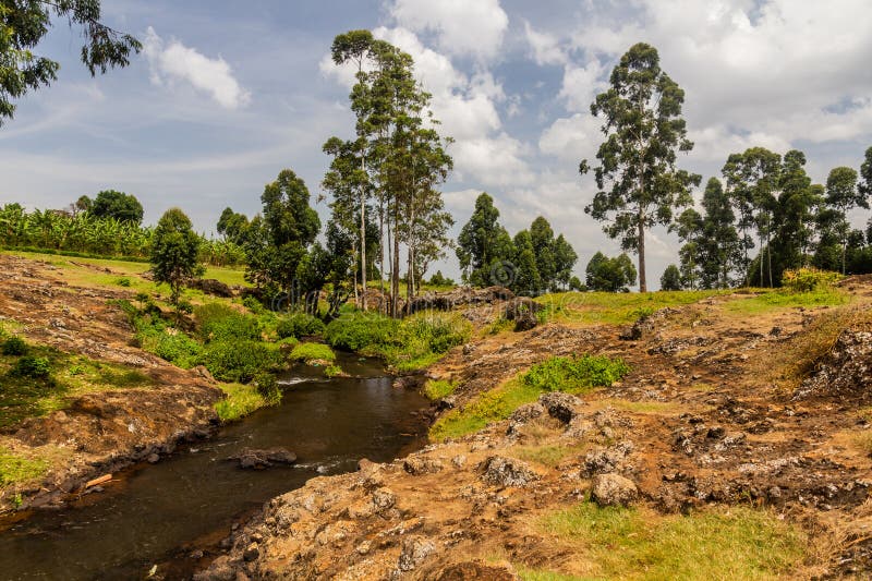 View of Sipi river, Ugan stock photo. Image of scenic - 328244066