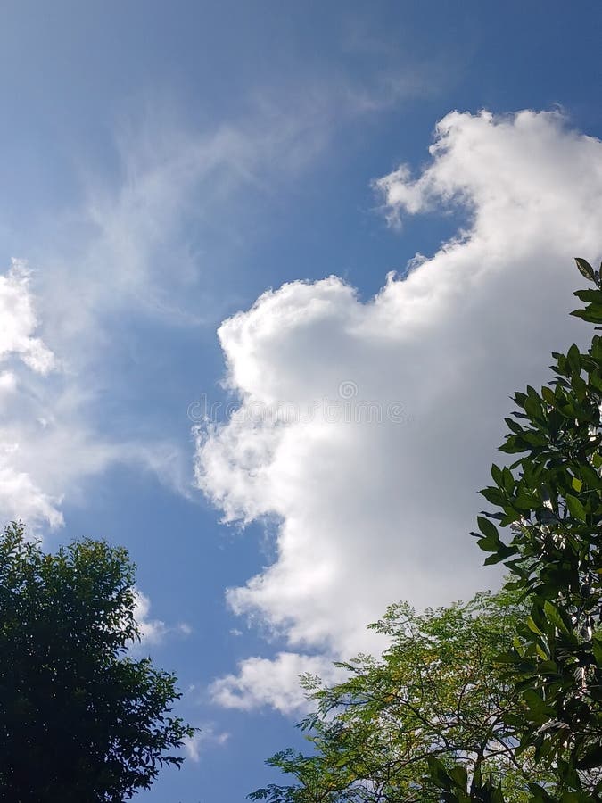 The View of the Sky during the Day Can Spoil the Eyes Stock Image ...