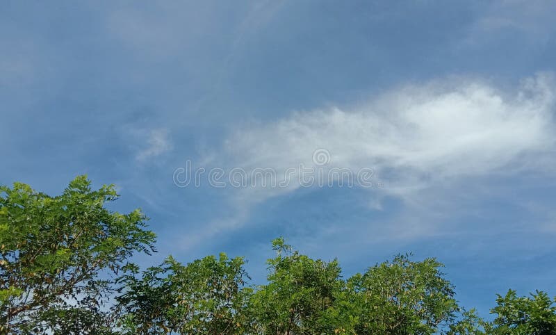 The View of the Sky and the Greenery Below Stock Photo - Image of ...