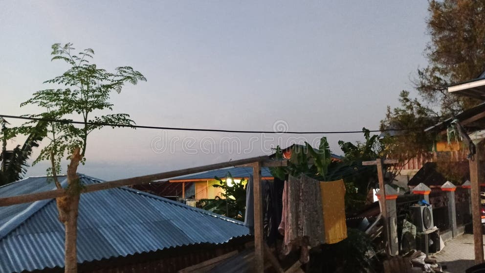 View of the Sky and the Moringa Tree, Banana Tree Stock Image - Image ...