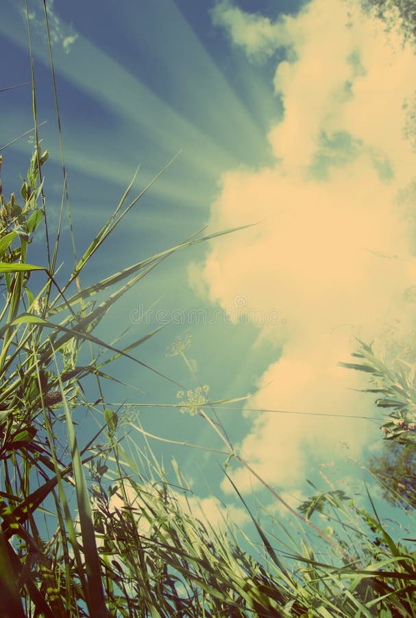View on Sky Out of Grass - Vintage Retro Style Stock Photo - Image of ...