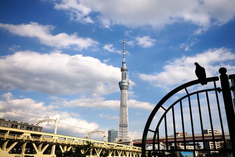 View of sky tree. editorial photo. Image of clear, blue - 21938496