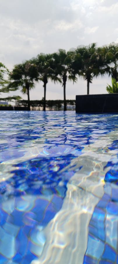 View of the Sky and Trees from the Pool Stock Photo - Image of wave ...