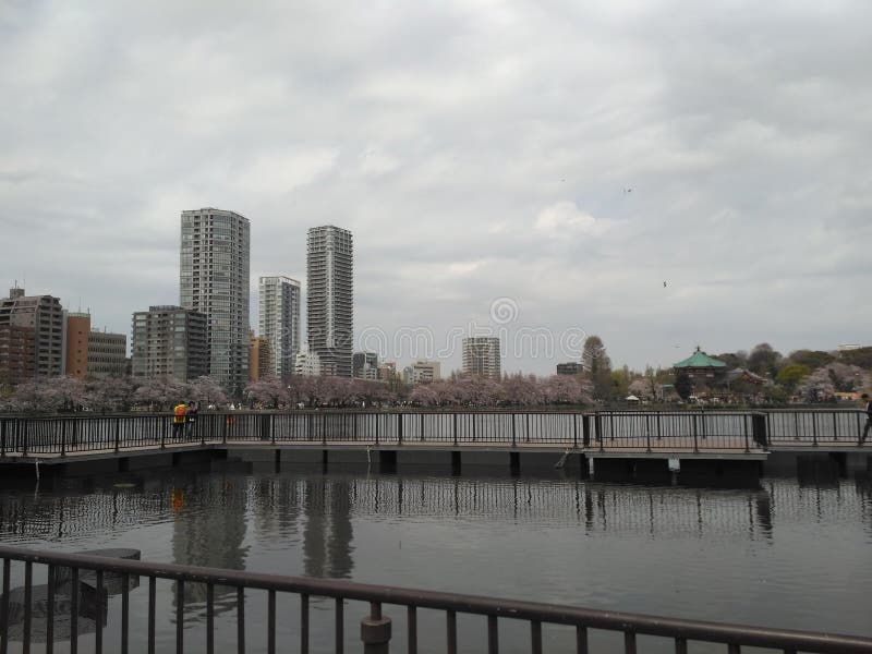 View of Skyline, Shinobazu Lake in Spring Time, Tokyo 2016 Stock Image ...