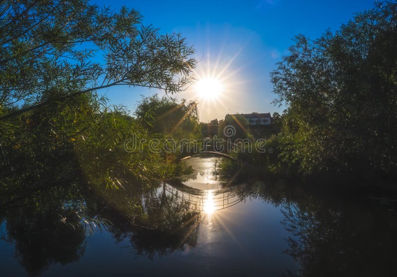 Sun Over Small Arched Bridge Stock Photo - Image of close, floral ...