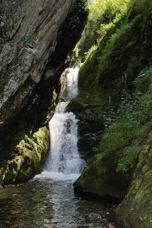 View of small falls stock image. Image of trees, rivulets - 75169529