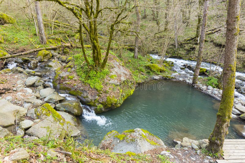 View of Small Forest Pond with Stones Stock Photo - Image of river ...