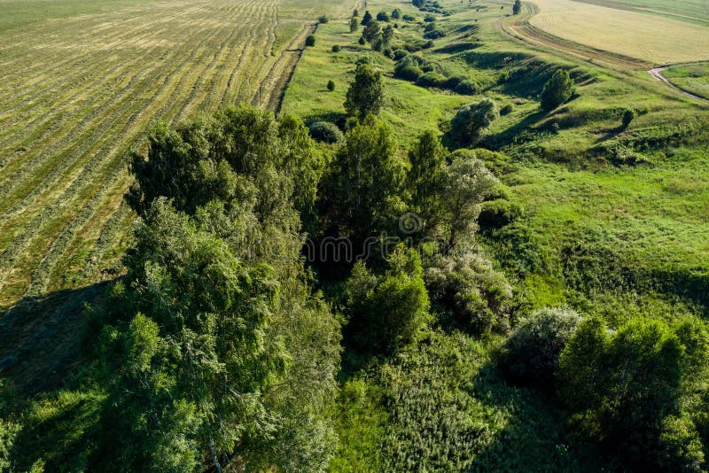 View from a Small Height of an Overgrown Ravine between Two ...