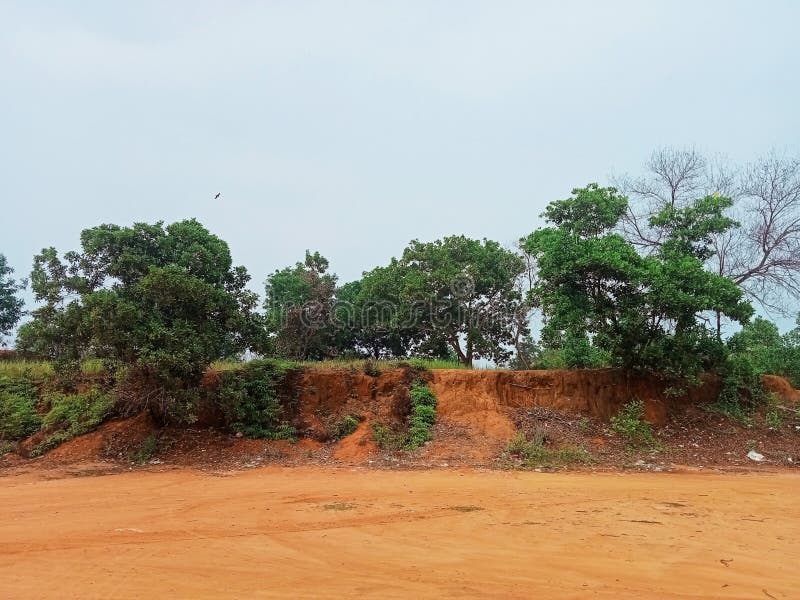 View of a Small Hill in the Middle of the Field Stock Image - Image of ...