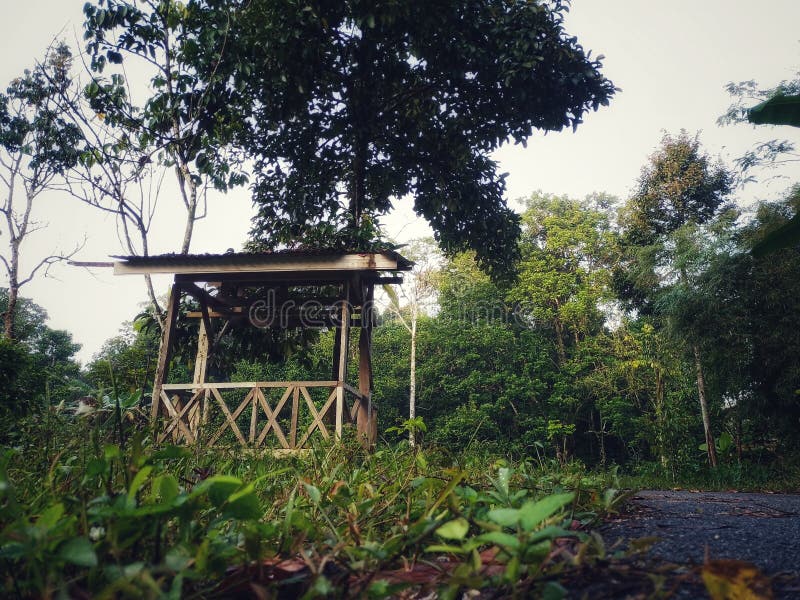 View of a Small Hut that is Made into a Rest Hut while in the Village ...