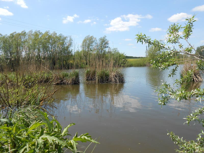 A View of a Small Pond in a Cozy Town in Middle Stock Photo - Image of ...