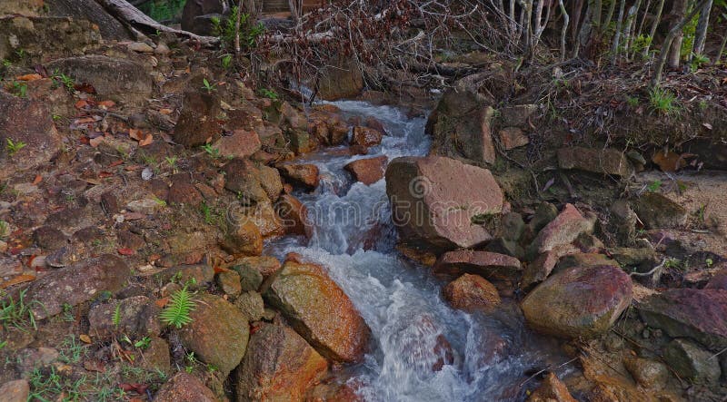 A Small Stream with a Waterfall in the Forest in Summer Stock Photo ...