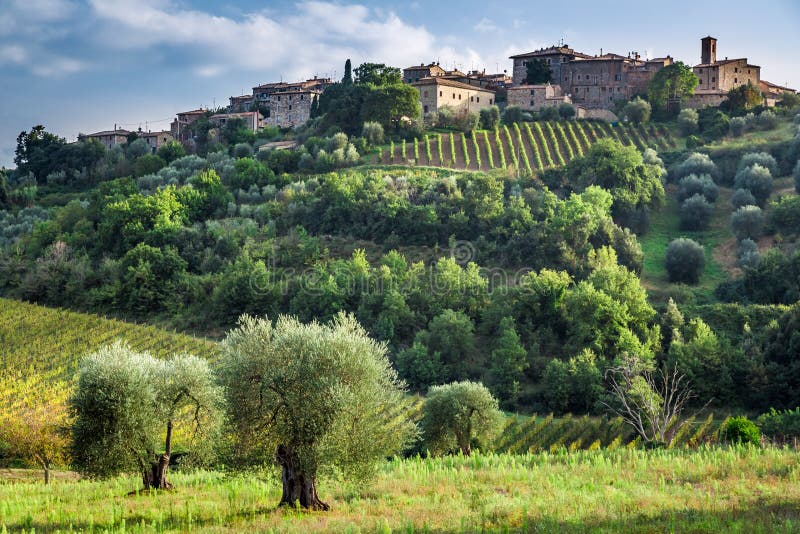 View of a Small Village in Tuscany Stock Photo - Image of italy, road ...
