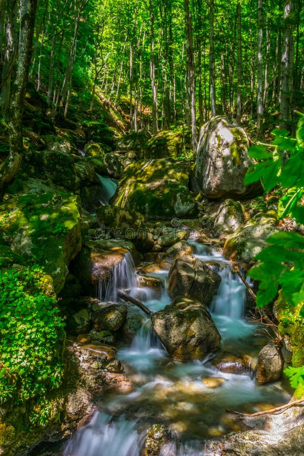 View of a Small Waterfall Hidden in a Forest in the Central Balkan ...