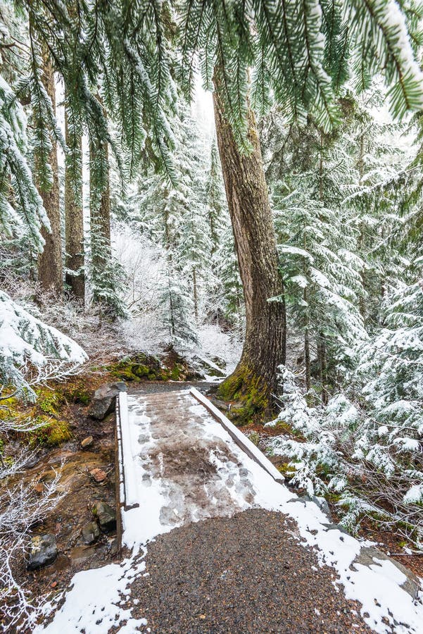View on the snow bridge stock photo. Image of falls, landscape - 65110056