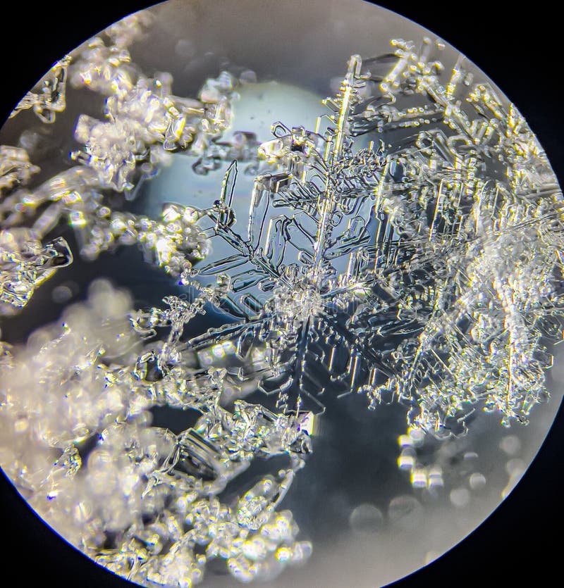 View on Snowflake Under Microscope Ocular Stock Photo - Image of year ...