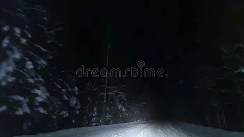 View of Snowy Forest Road at Night. Stock Video - Video of trip, travel ...