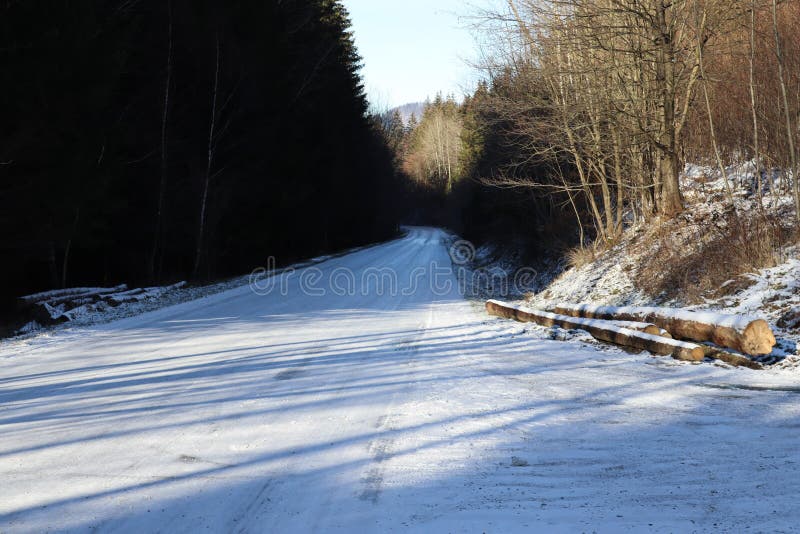 View of a Snowy and Icy Road Forest Road. the Trees Illuminated by the ...