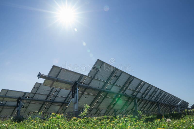 The View of the Solar Farmsolar Panel, Alternative Electricity Source ...