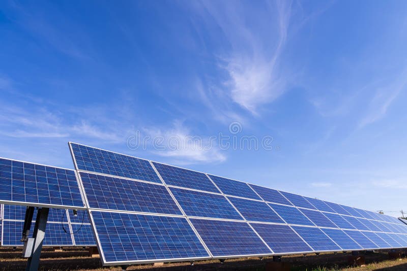 The View of the Solar Farmsolar Panel, Alternative Electricity Source ...
