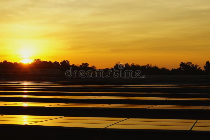The View of the Solar Farmsolar Panel, Alternative Electricity Source ...