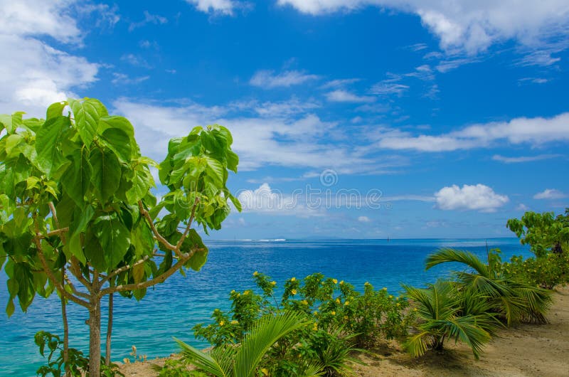 View of South Pacific Ocean from Shore Stock Image - Image of blue ...