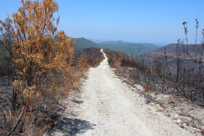 View of the Spitskop Knysna in South Africa Stock Photo - Image of ...