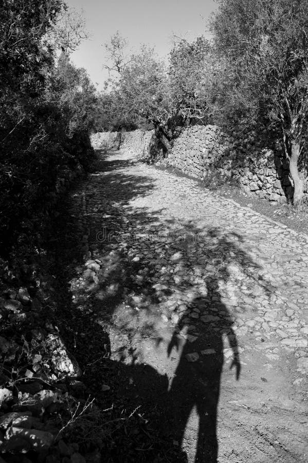 Shadow on the road stock photo. Image of country, silhouette - 105983286