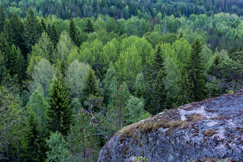 View of the Spring Forest from High Rock Stock Image - Image of ...
