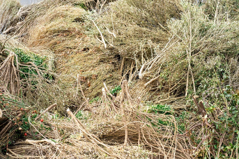 View of a Stack of Dry Cut Branches of Trees and Bushes in Spring Stock ...