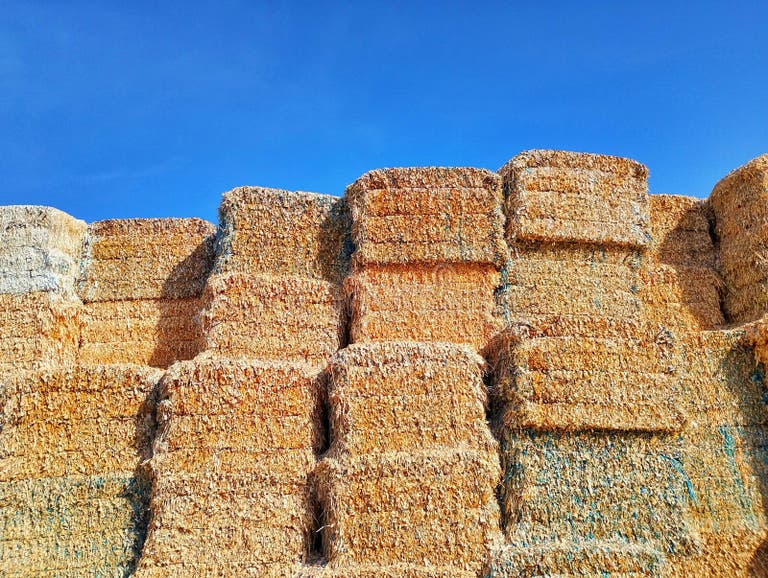 1,911 Production Recycled Paper Stock Photos - Free & Royalty-Free ...