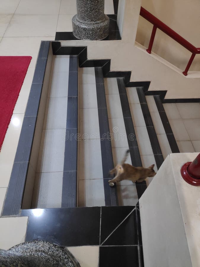 View of the Stairs in the Building Stock Image - Image of glass ...