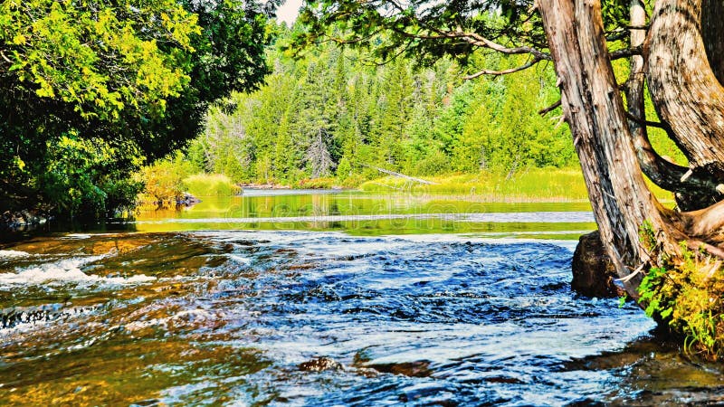 The Starting Point of a River Cascade Stock Image - Image of tree ...