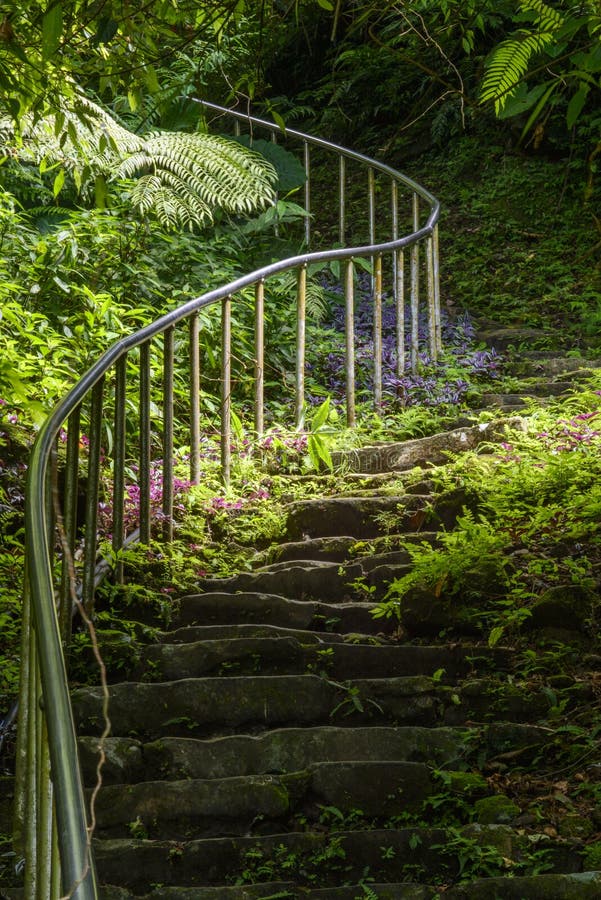View of Steps Leading Up a Hill Stock Image - Image of landscape ...