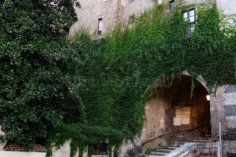 View the Stone Arch Pathways with Green Vine in the Hills Stock Photo ...