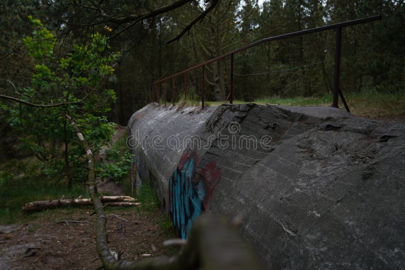View of a Stone Bridge with Graffiti Art in a Forest Stock Image ...