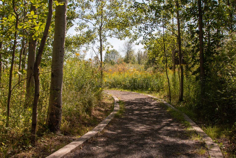 Stone Path in a Protected Zone Stock Image - Image of countryside ...